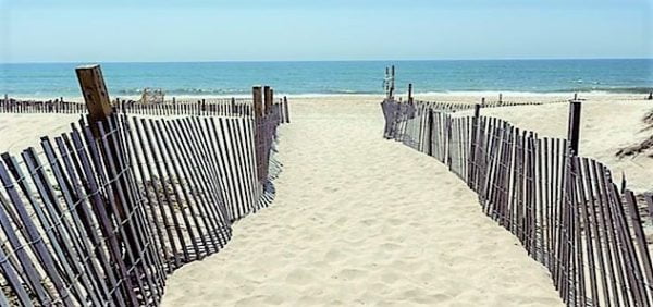 Why You Must Take a Fire Island Day Trip - Born to be Boomers