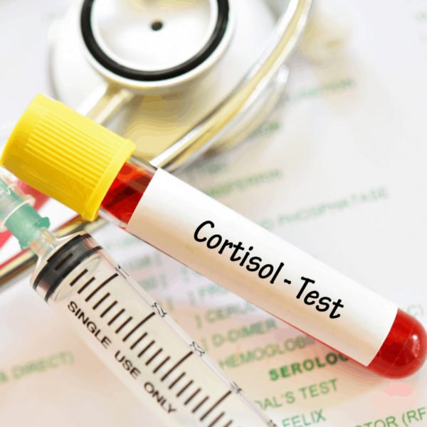 Cortisol: The Stress Hormone and What You Need To Know For Adrenal ...